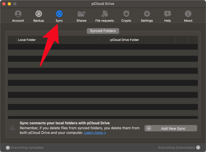 MultCloudでpCloudと他クラウド間のファイル転送 | 使い方ガイドと評価